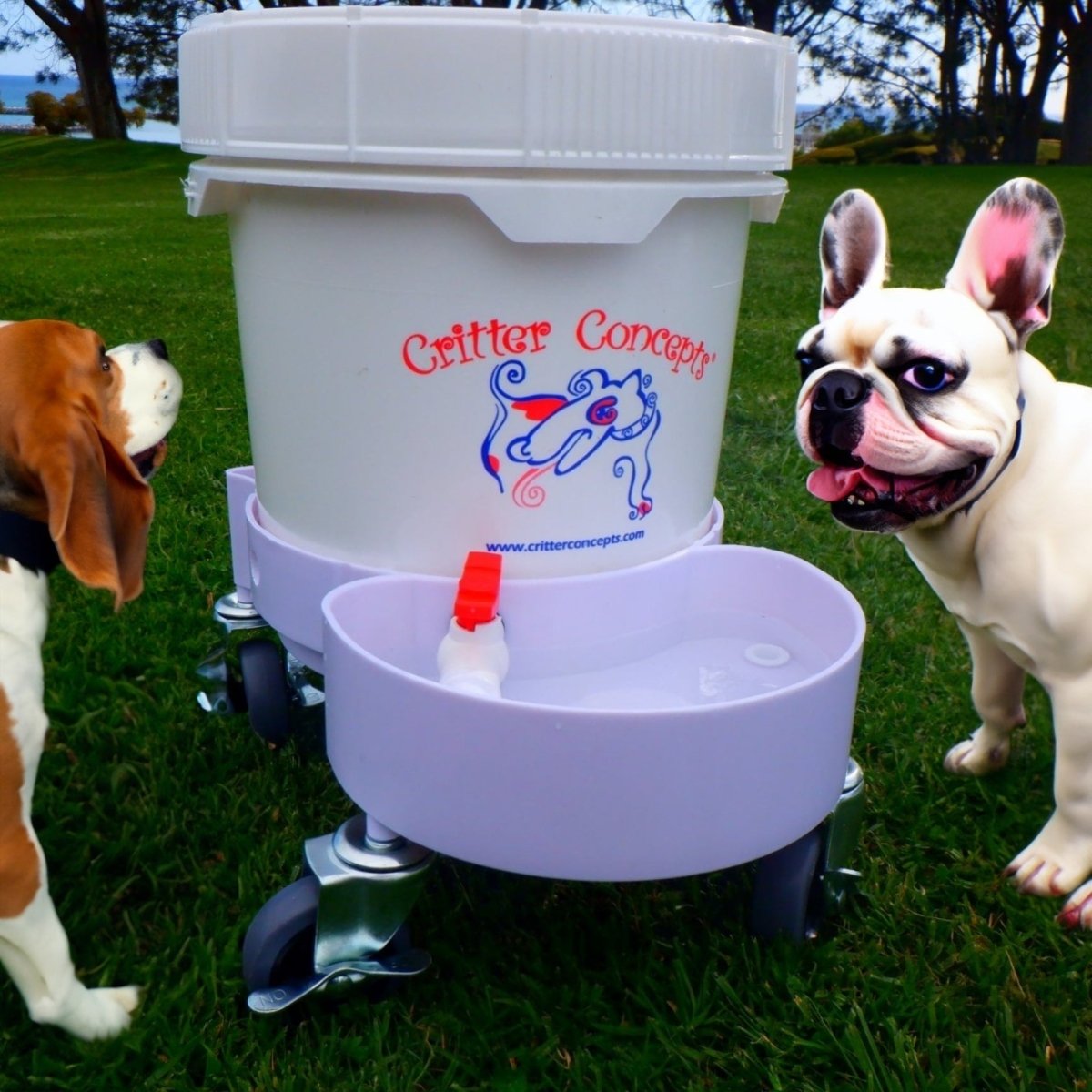Dog Water Fountain | Pet Water Dispenser – Critter Concepts